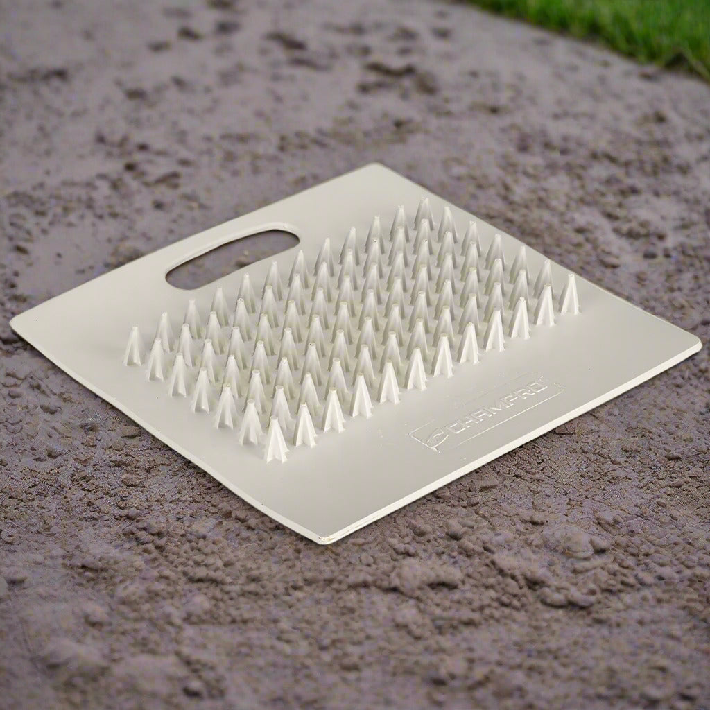 Cleat Cleaner – TripleSSports